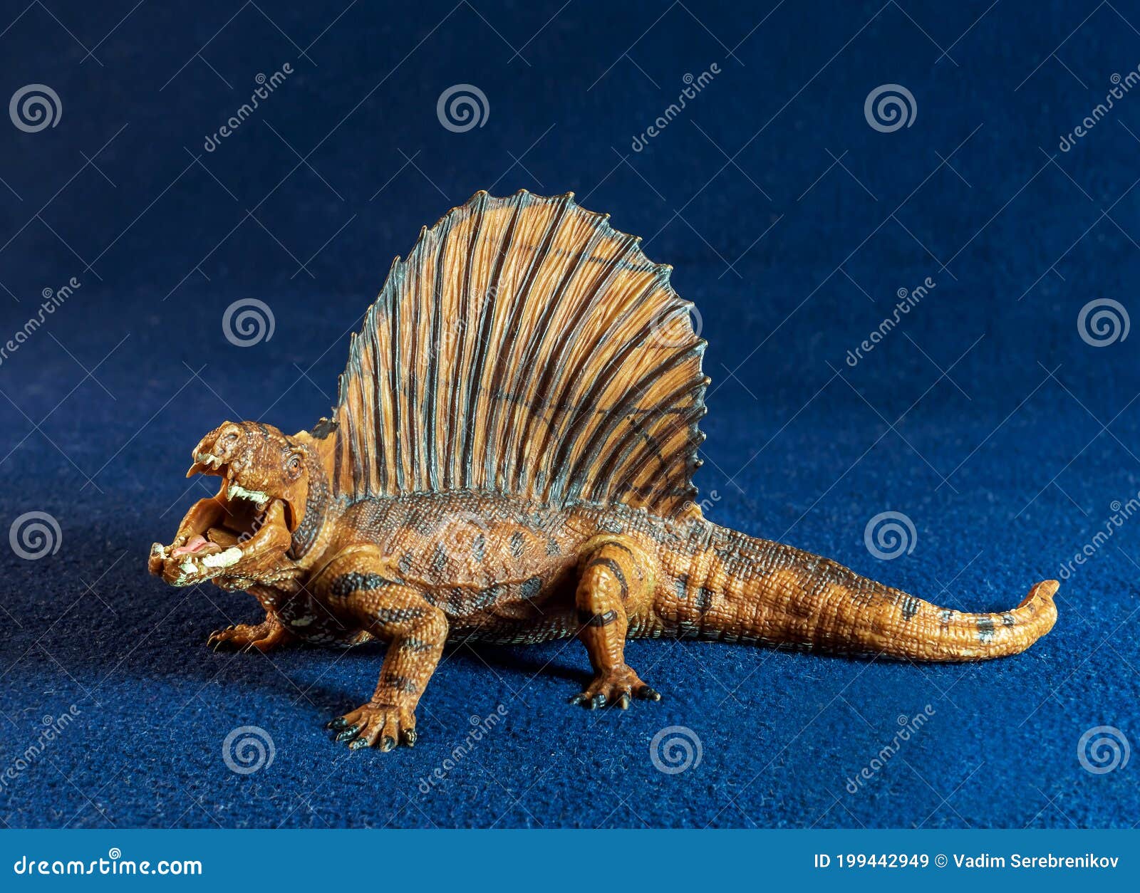 A model of dimetrodon stock image. Image of lizard, stegosaurus - 199442949