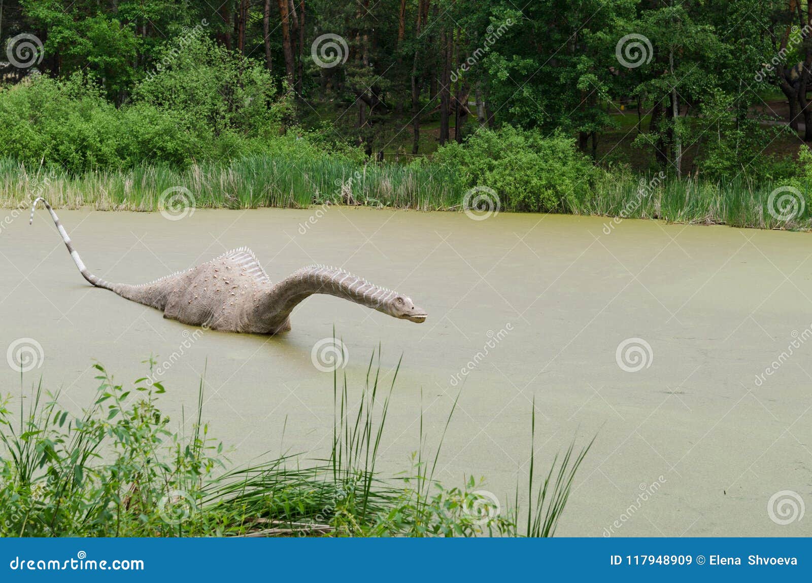 Model of a Dinosaur Diplodocus in a Swamp Editorial Stock Image - Image ...