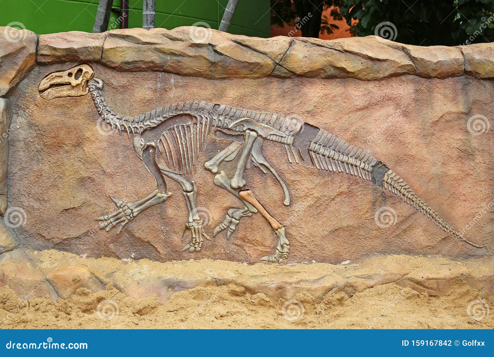 Model Dinosaur Fossil on the Wall Stock Photo - Image of paleontology ...