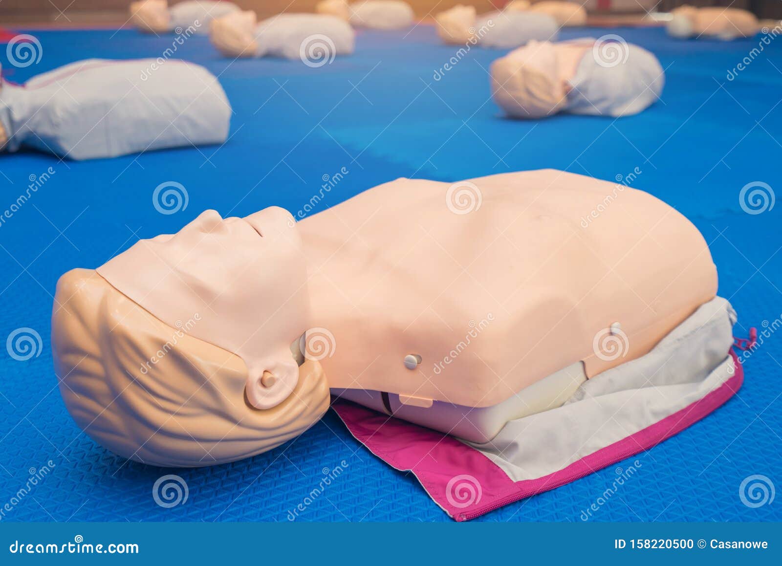 Model Dummy for CPR Training Medical in Class Stock Photo - Image of ...