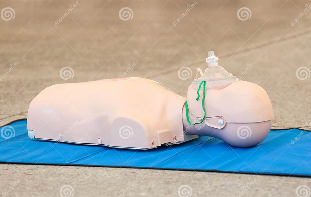 Model of Dummy Used for CPR Training Stock Image - Image of chest, safe ...