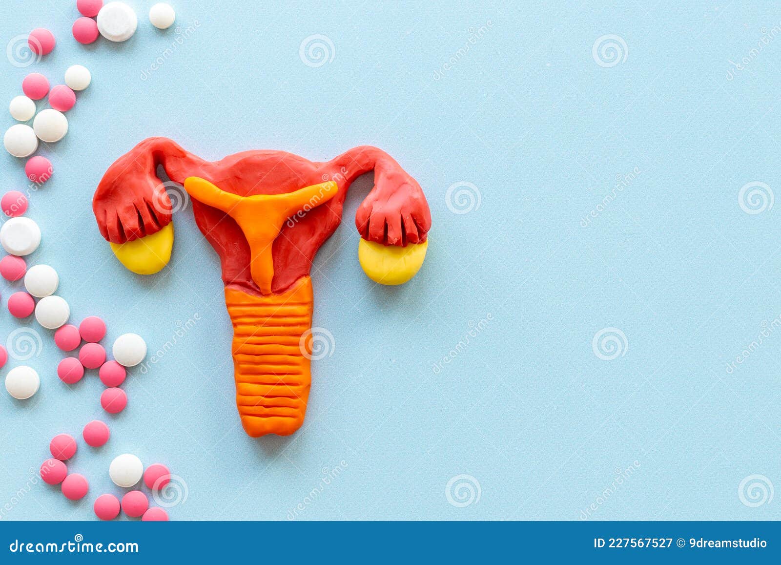Model of Female Reproductive System with Medical Pills Stock Image ...