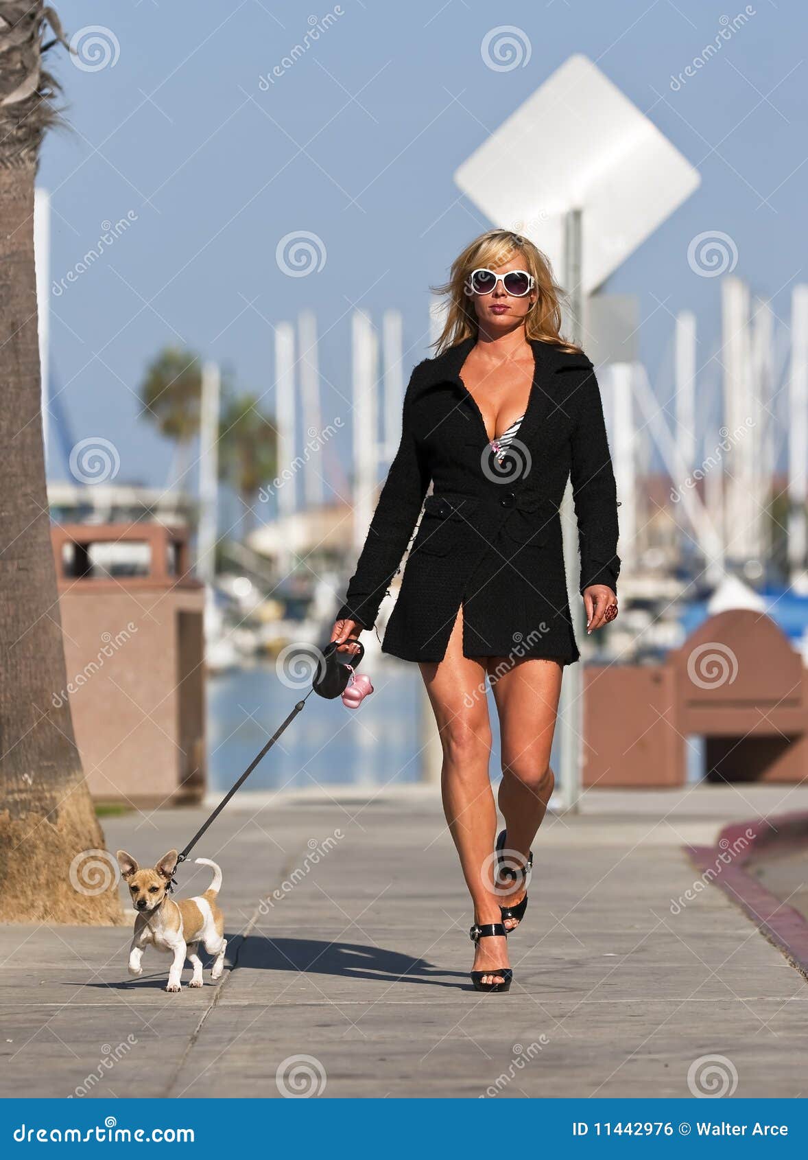 Model with Her Dog stock photo. Image of beauty, domestic - 11442976