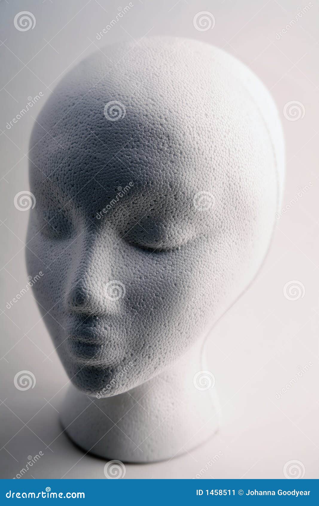 Model hoofd stock afbeelding. Image of vertoning, gezicht - 1458511