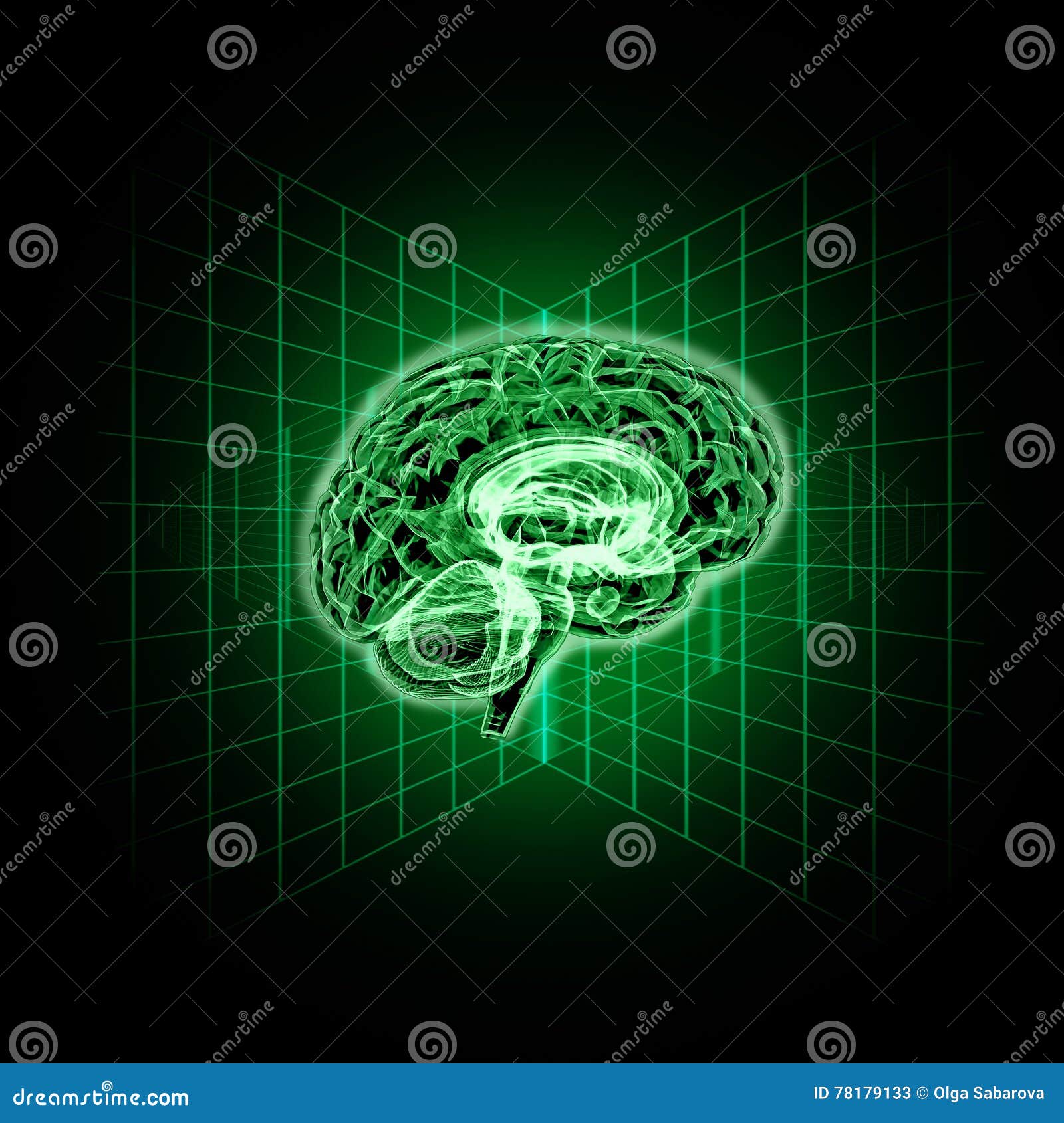 Model of a Human Brain on a Black Background. Stock Illustration ...
