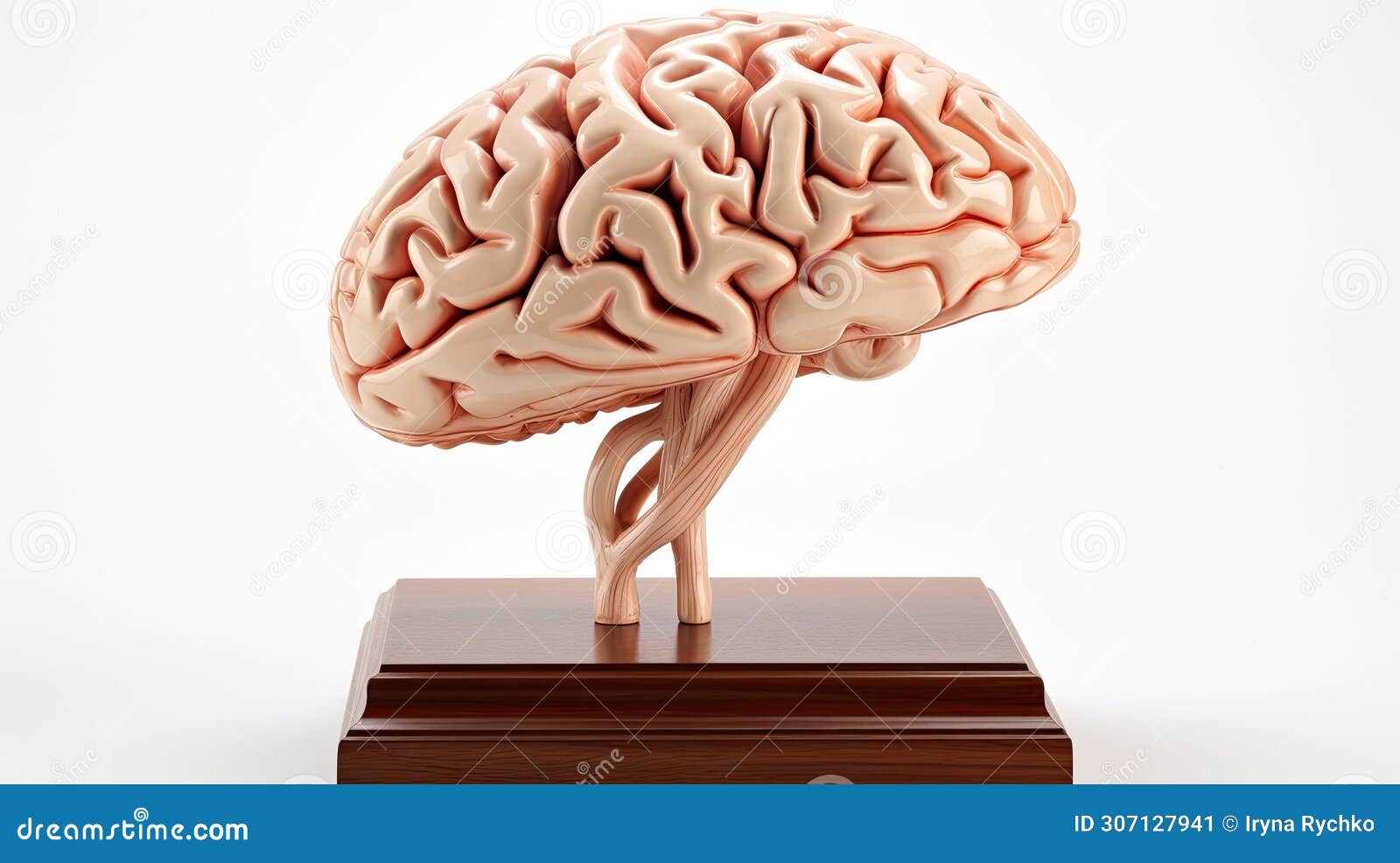 Model of human brain stock illustration. Illustration of abstract ...