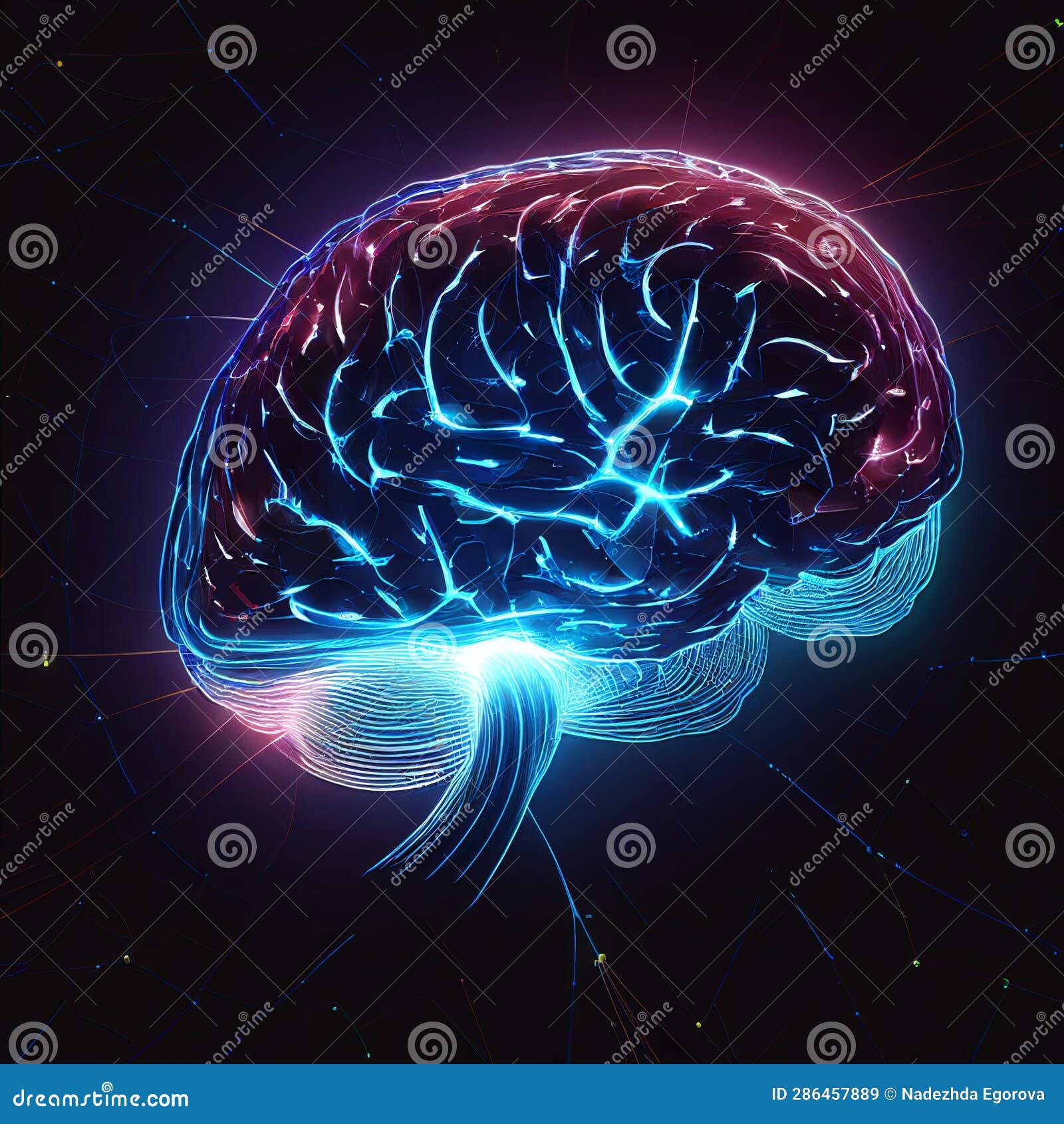 Model of Human Brain in Vibrant Colors on Dark Background. Active Parts ...