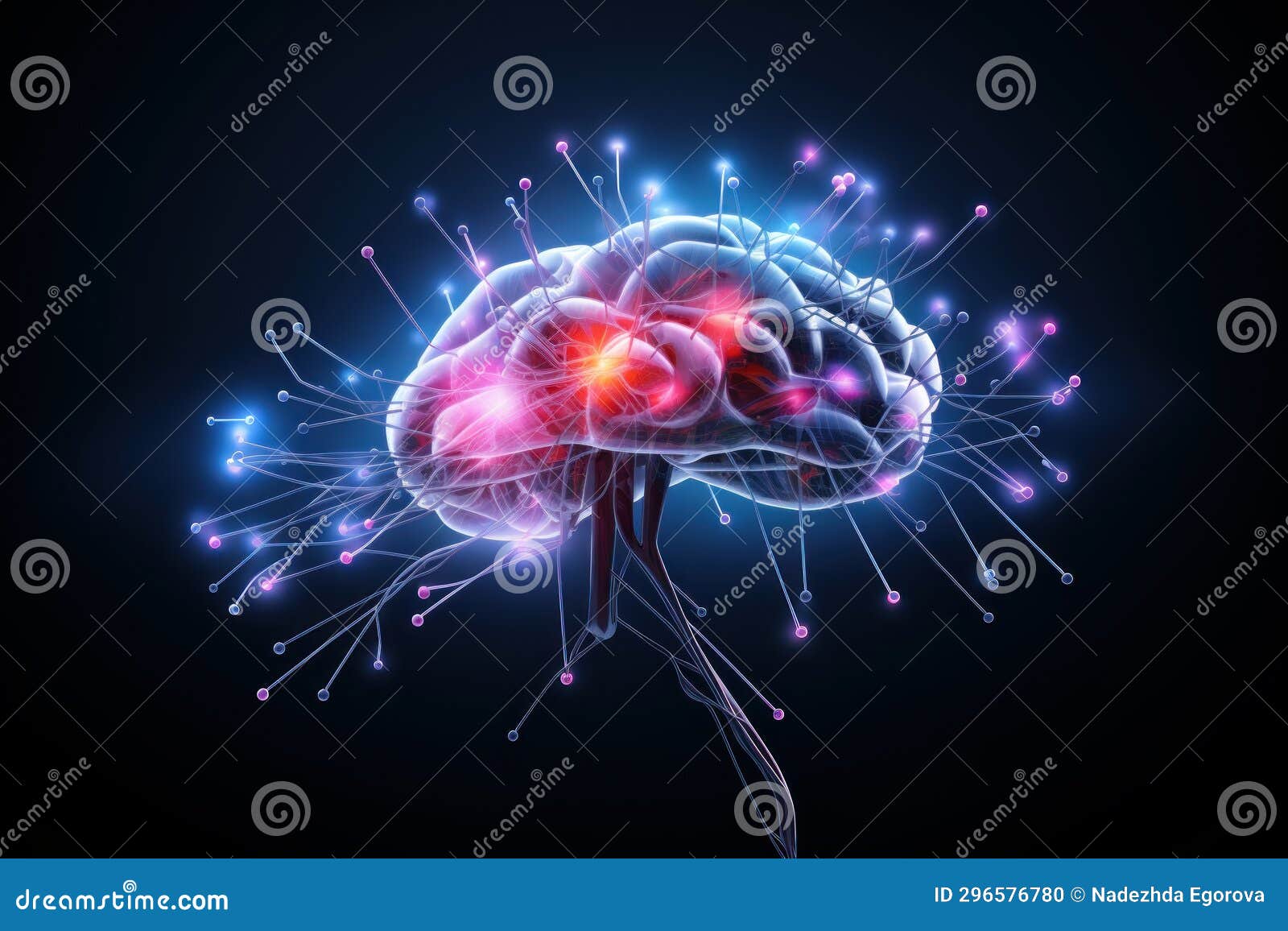 Model of Human Brain in Vibrant Colors on Dark Background. Active Parts ...