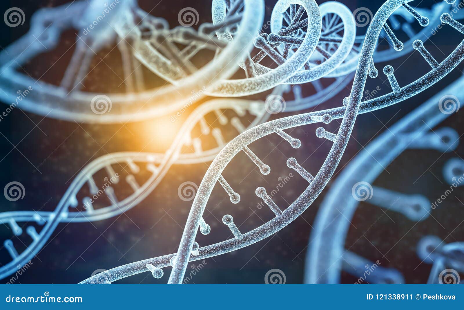 Model of human DNA stock illustration. Illustration of creative - 121338911