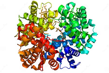 Model of Human Hemoglobin stock illustration. Illustration of generated ...