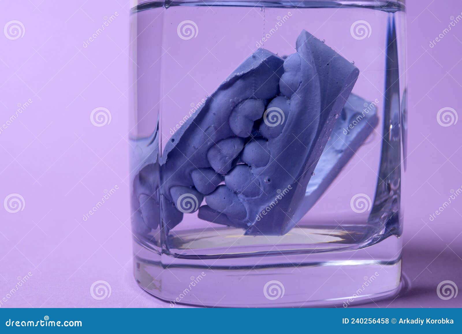 Ceramic Model of Human Teeth in a Glass Stock Photo - Image of mouth ...