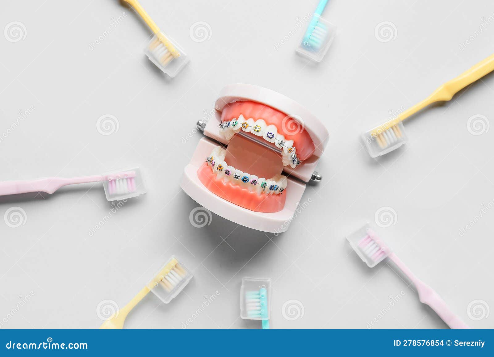 Model of Jaw with Dental Braces and Toothbrushes on Light Background ...