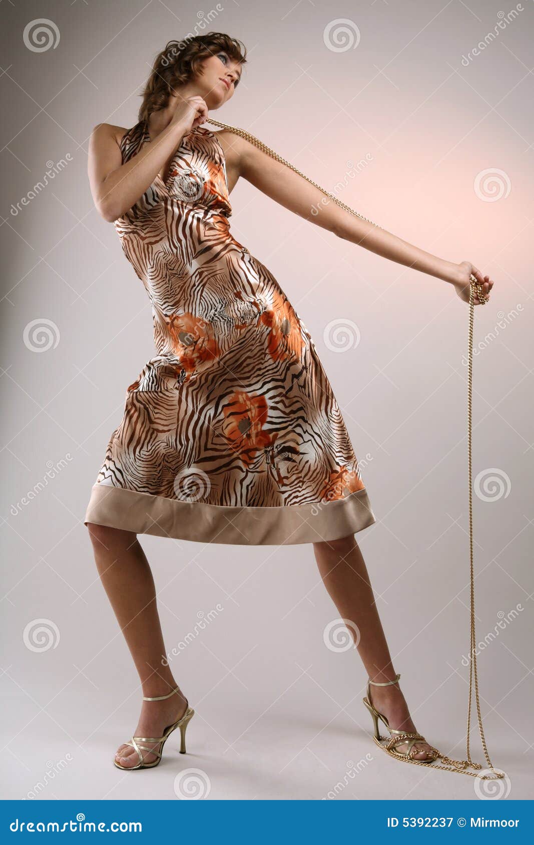 Model in kleding stock afbeelding. Image of kleding, schoonheid - 5392237