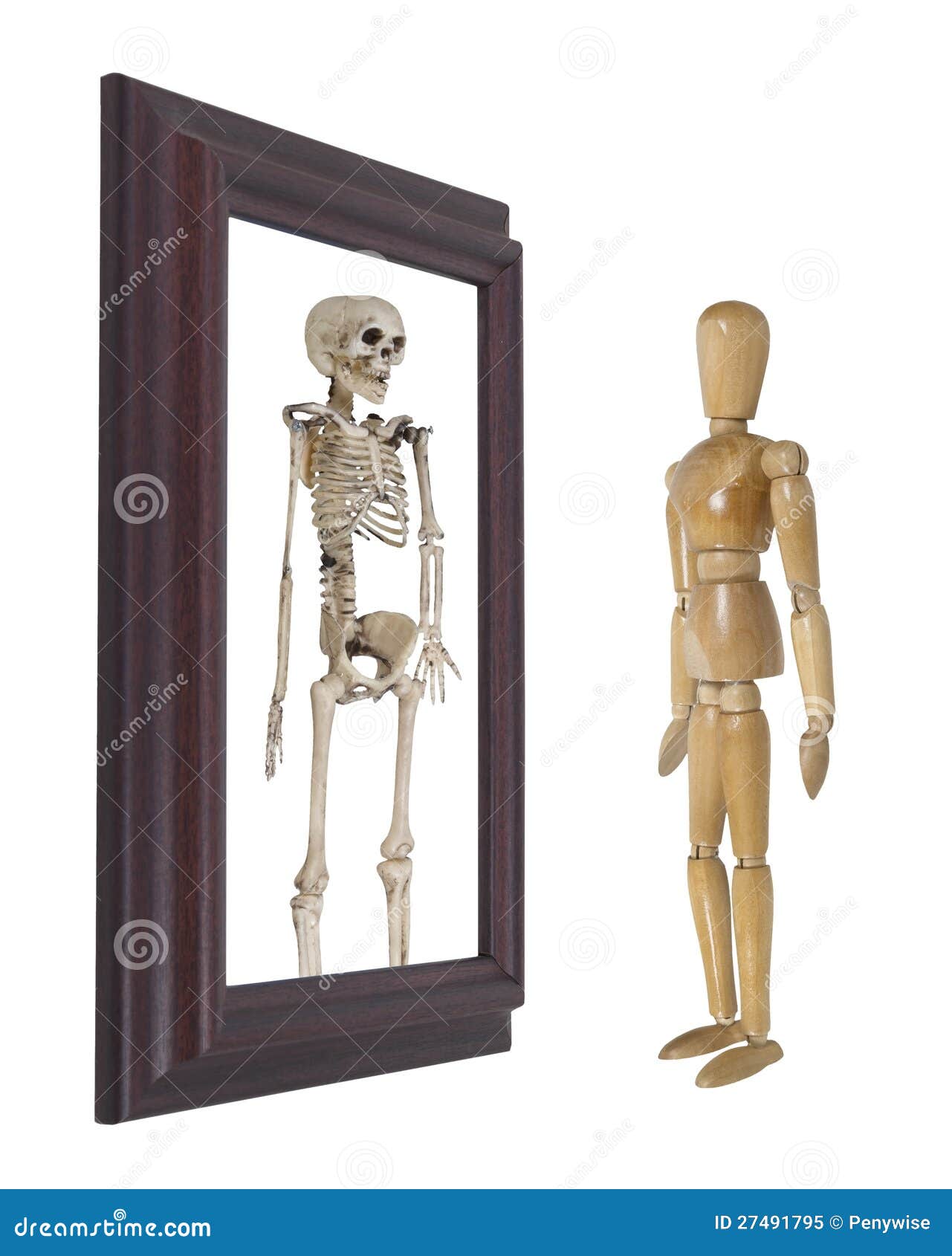 Model Looking into Mirror and Seeing Skeleton Stock Image - Image of ...