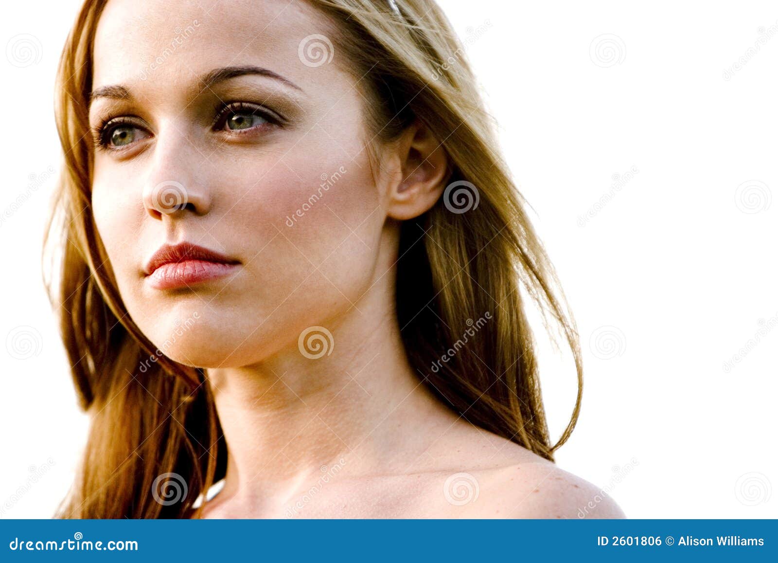 Model Looking Out stock photo. Image of fashion, dramatic - 2601806