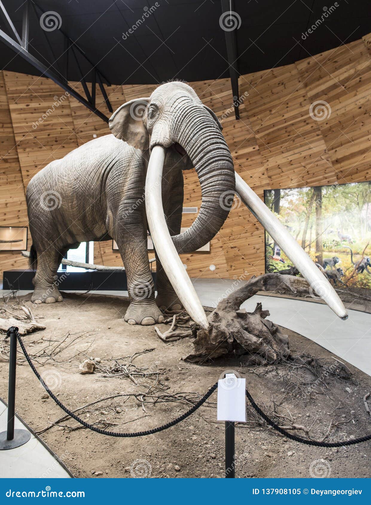 Model of mastodon editorial image. Image of trunk, woolly - 137908105