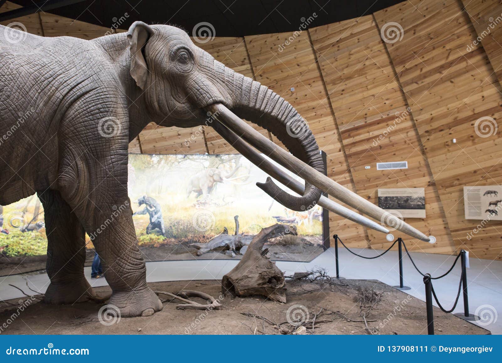 Model of mastodon editorial photo. Image of museum, ancient - 137908111