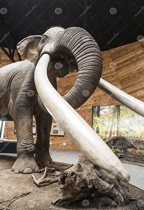 Model of mastodon editorial stock image. Image of pleistocene - 137908259