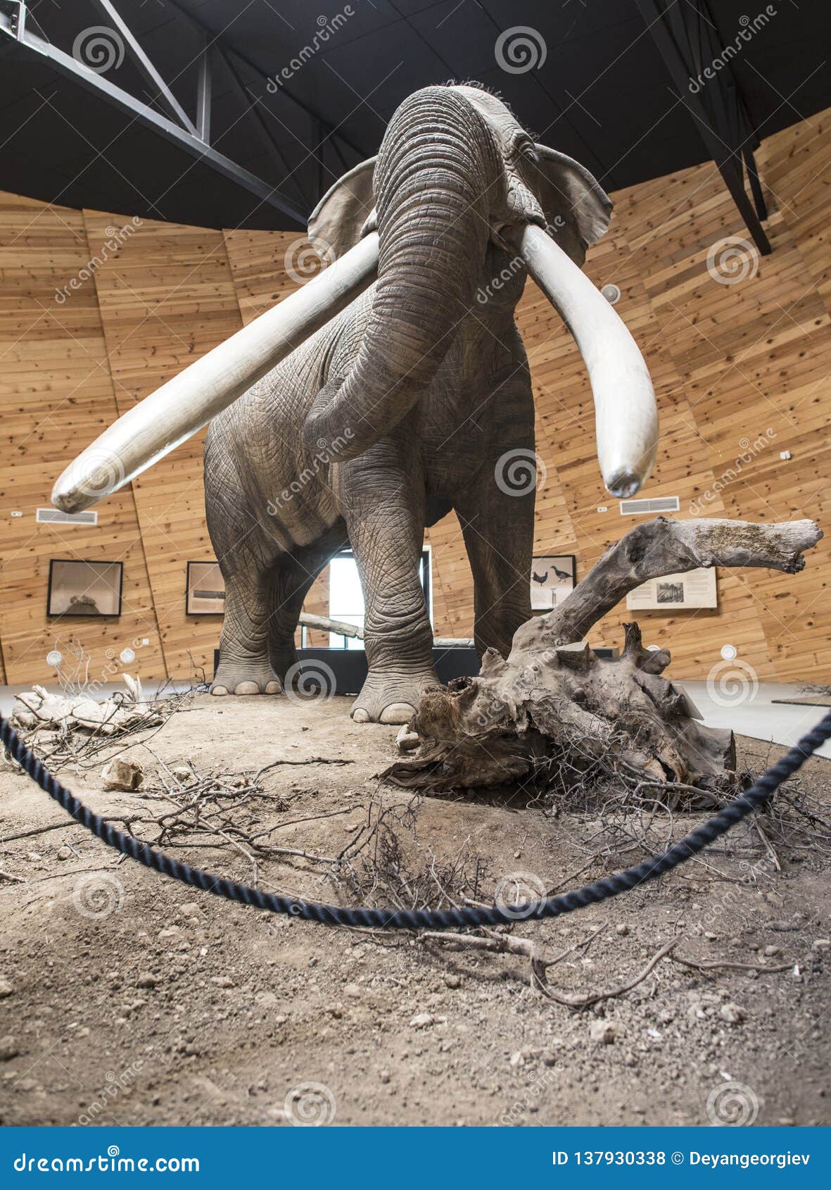 Model of mastodon editorial stock photo. Image of prehistoric - 137930338