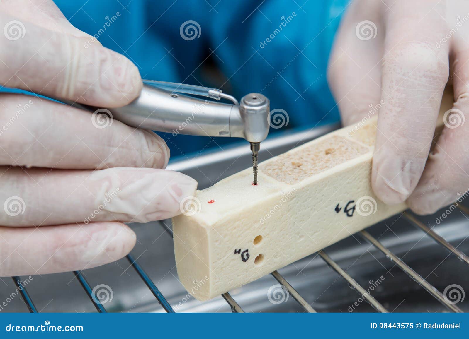 Model Medical Implants Testing the Equipment Stock Image - Image of ...