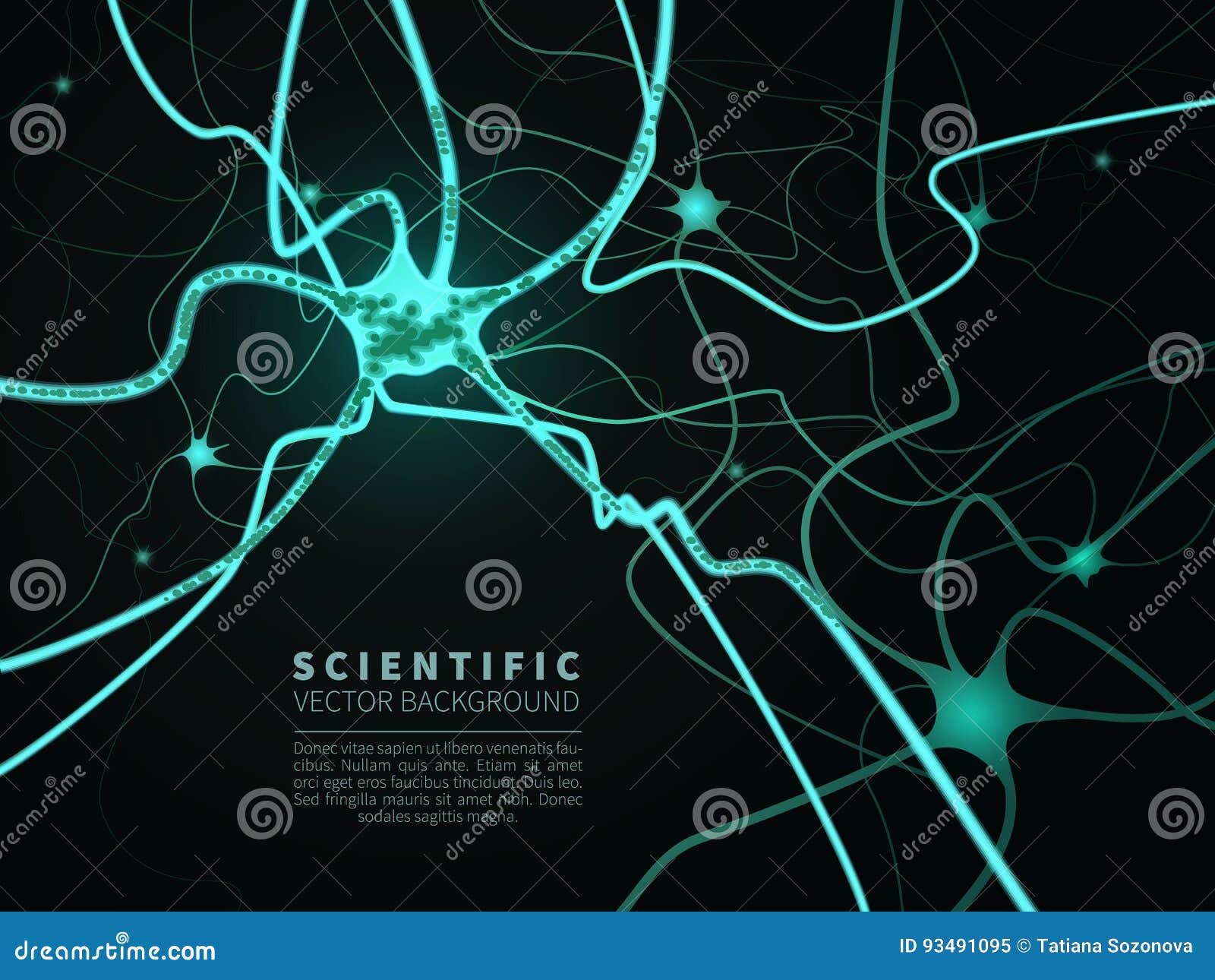 Model of neural system stock vector. Illustration of science - 93491095