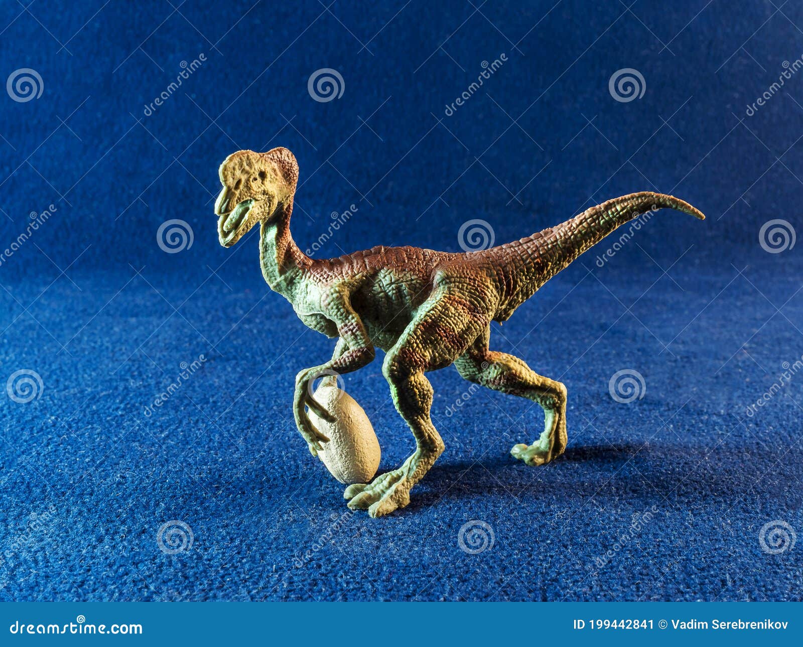 A model of oviraptor stock image. Image of reptile, dark - 199442841