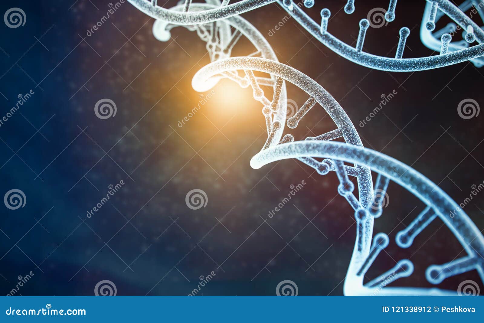 Model of human DNA stock illustration. Illustration of evolution ...