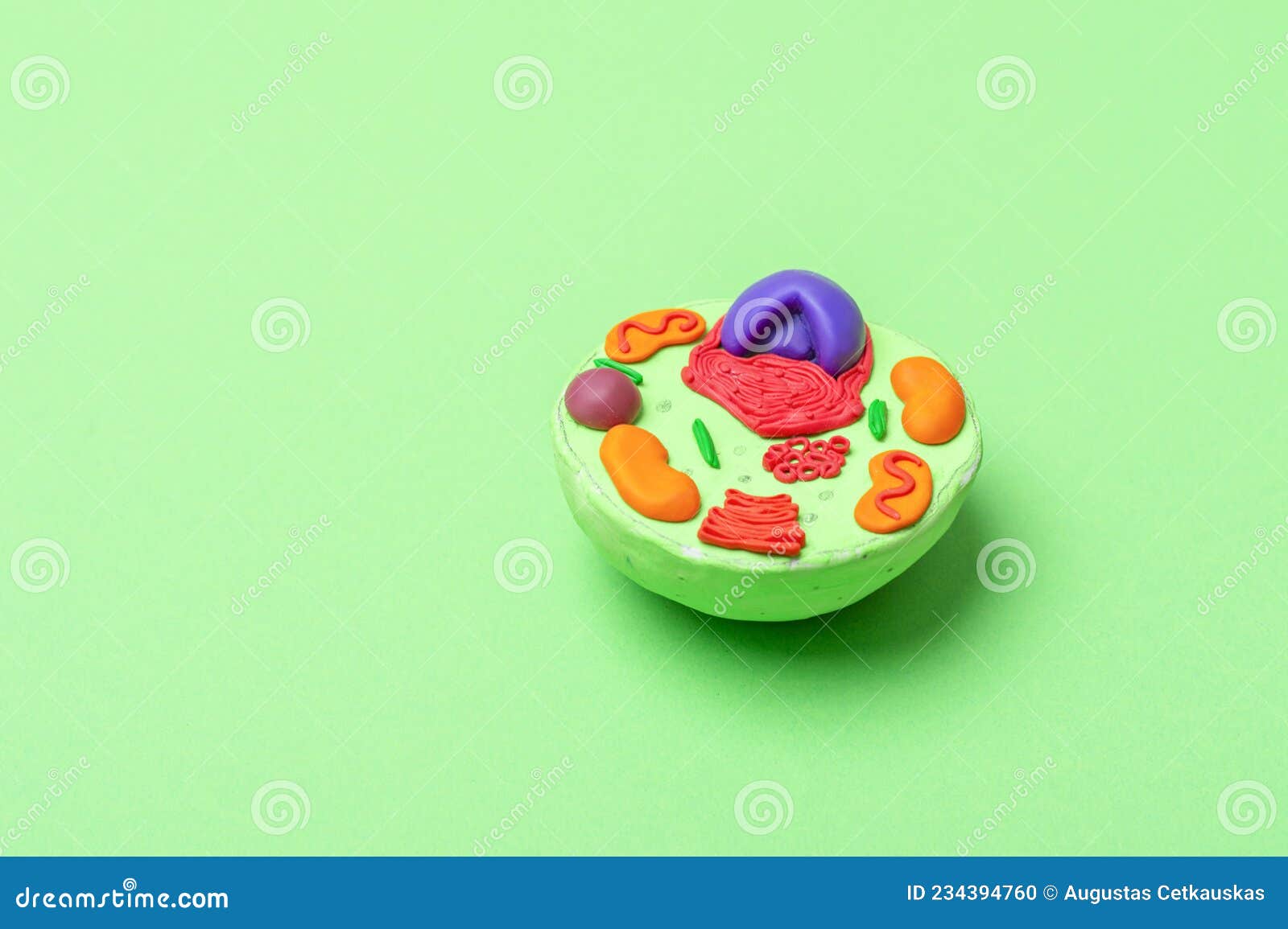 Model of Plant Cell on Green Background. Green World and Education ...