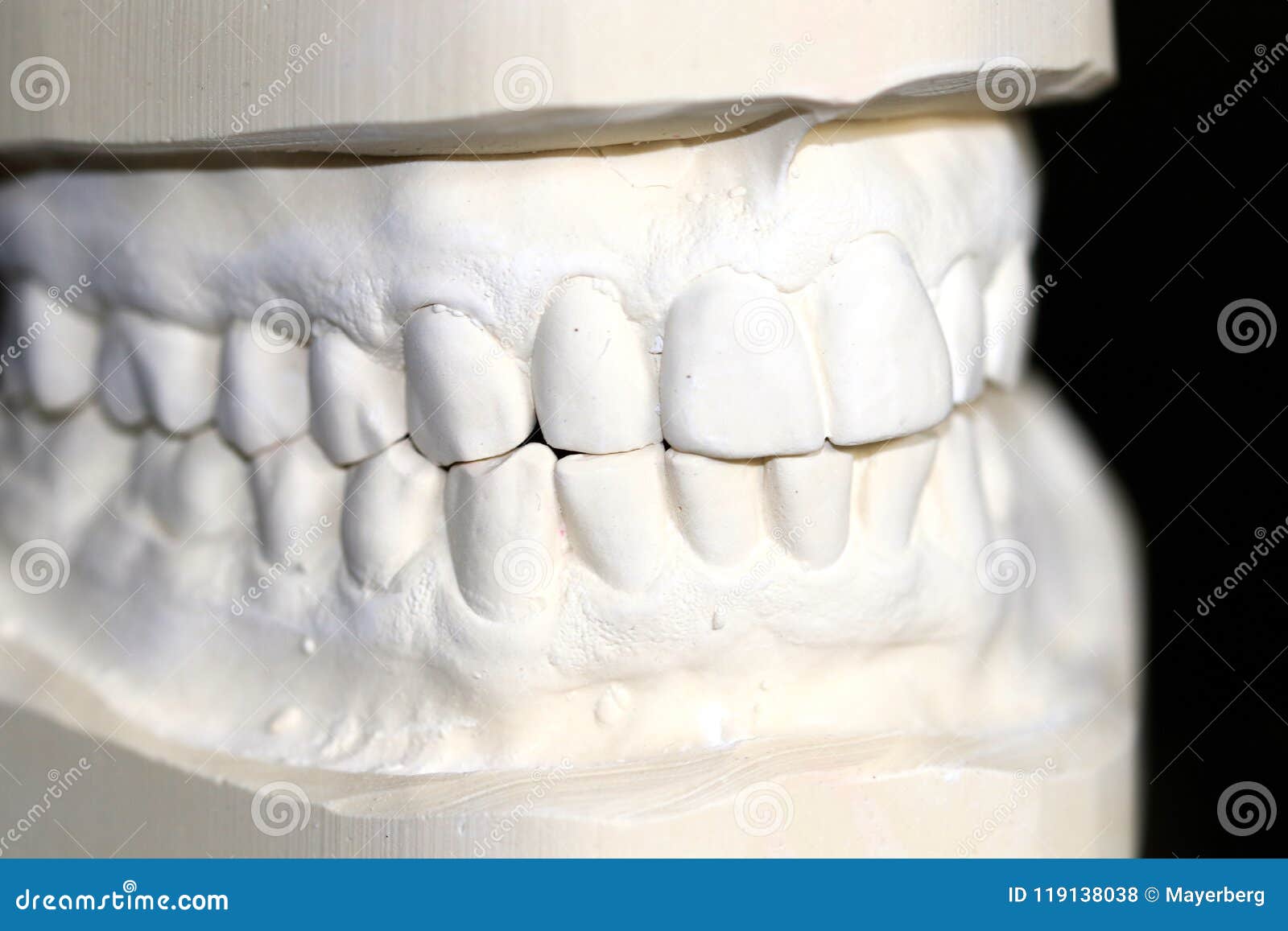 Human Teeth Made of Plaster Stock Photo - Image of models, people ...