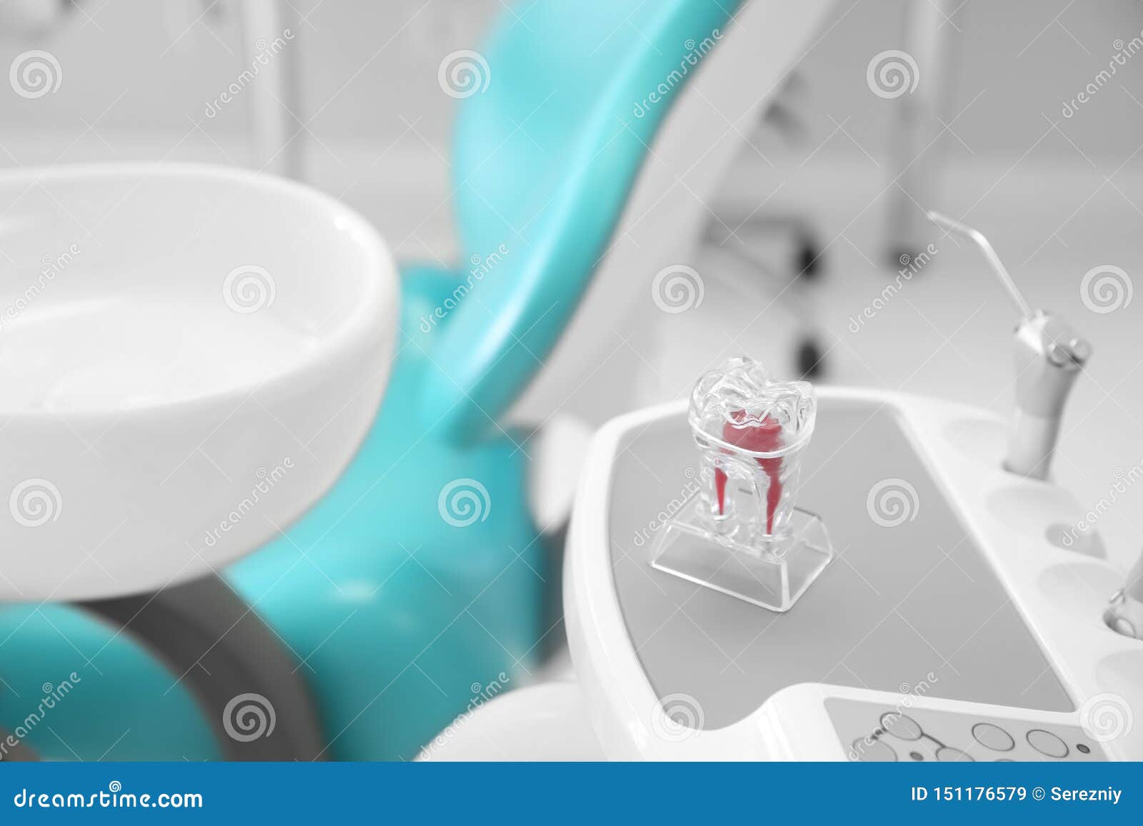 Model of Plastic Tooth on Stand in Dentist S Office Stock Image - Image ...
