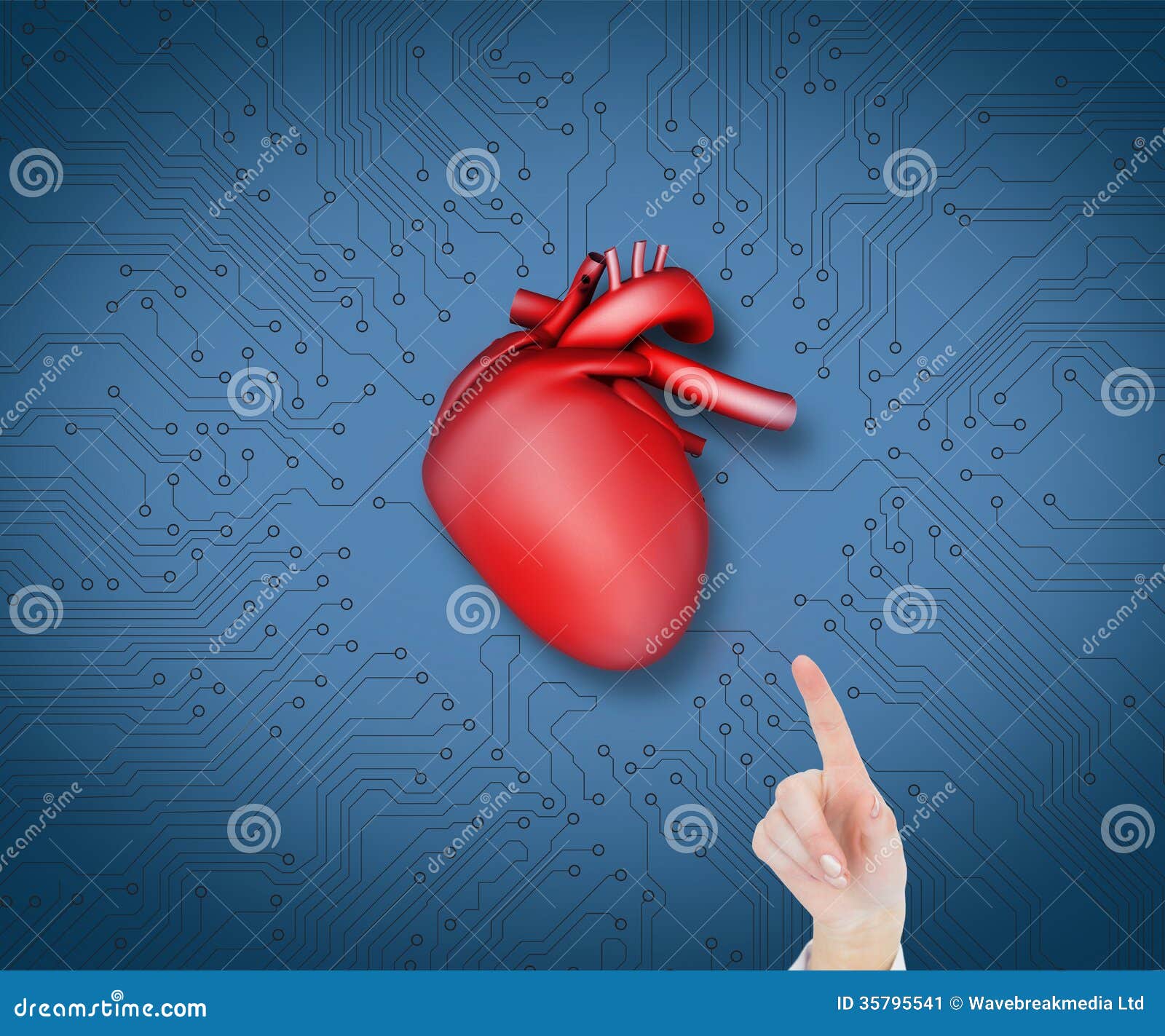 Model pointing at heart stock image. Image of gesture - 35795541