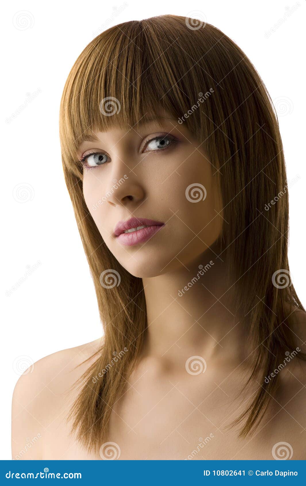 Model portrait stock image. Image of glamor, head, elegant - 10802641