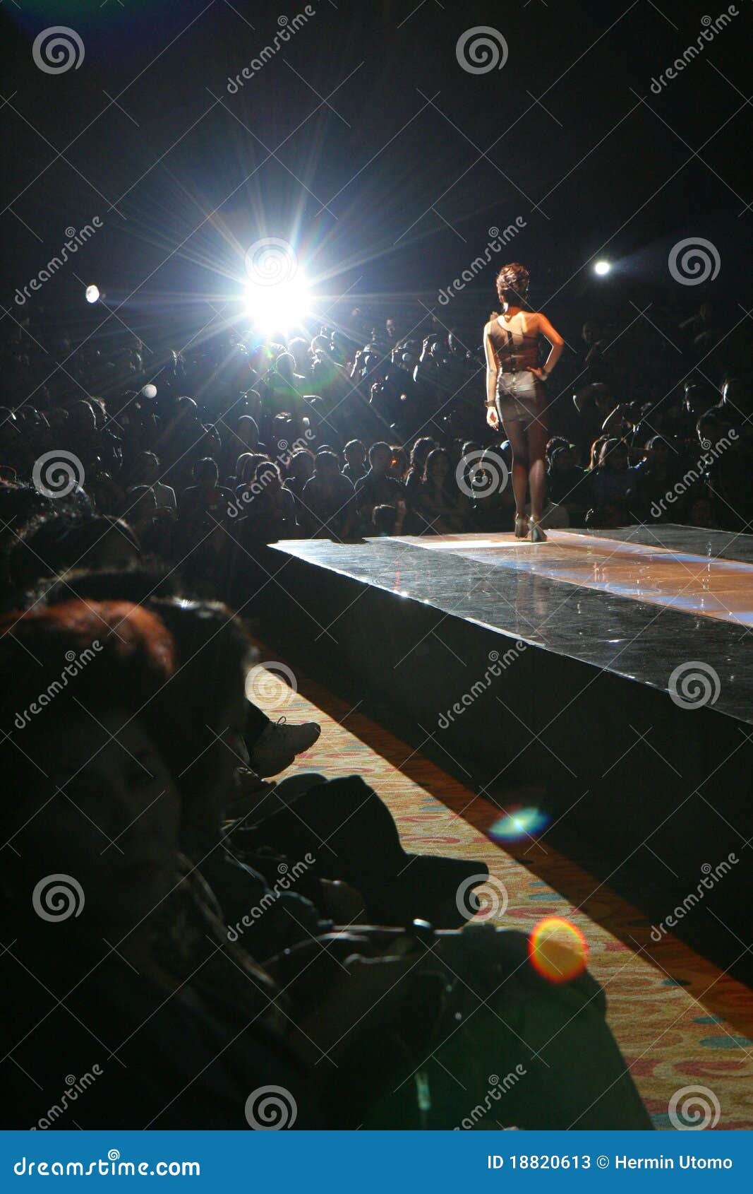 Model Posing editorial stock photo. Image of audience - 18820613