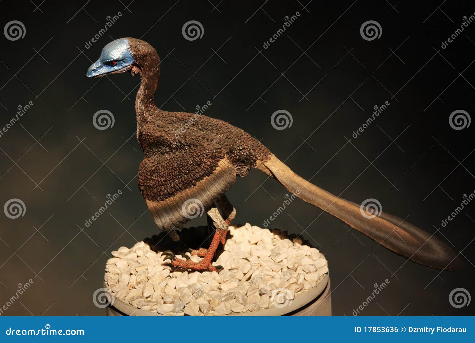 Model of a Prehistoric Bird Stock Photo - Image of flying, retro: 17853636