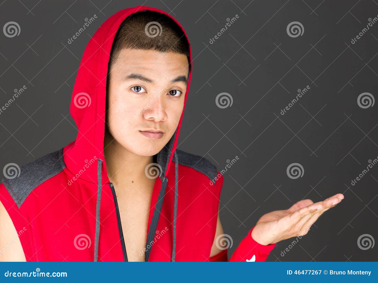 Model Presenting Showcasing with Hand Stock Image - Image of ...