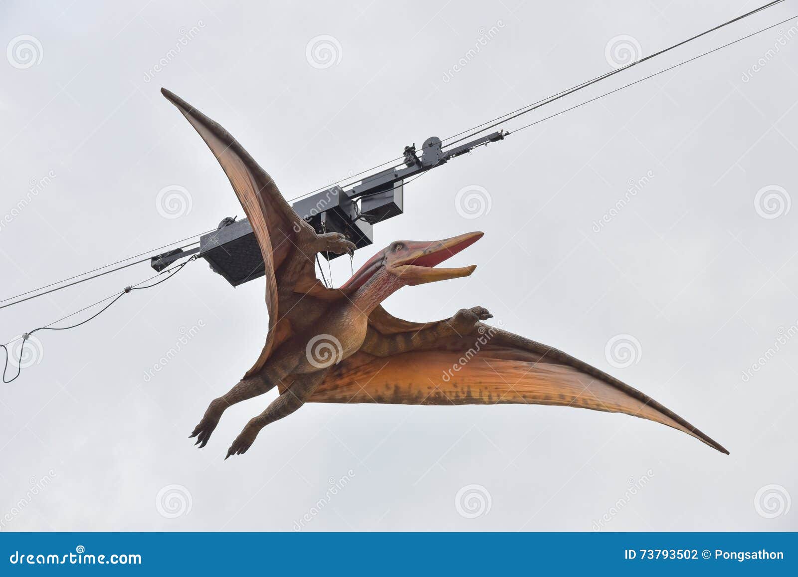Model of pteranodon stock photo. Image of monster, cretaceous - 73793502