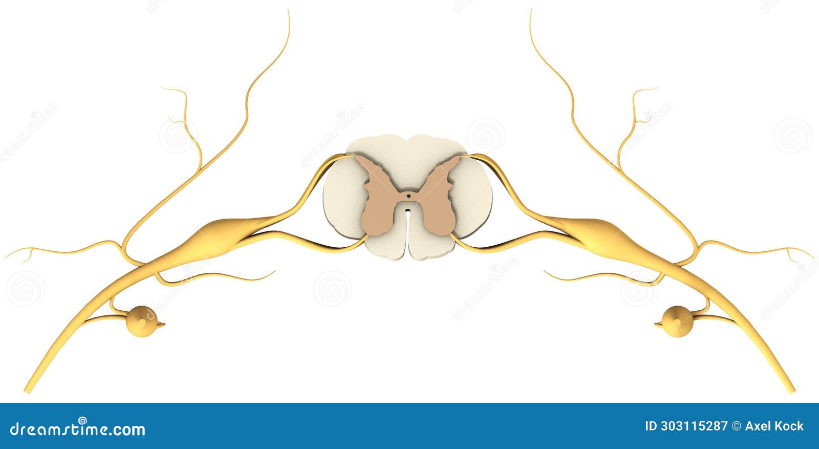 Bone Conduction Headphones Isolated On White Background. Wireless Audio ...