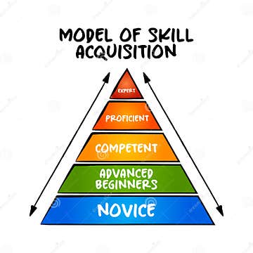 Model of Skill Acquisition - Model of How Learners Acquire Skills ...