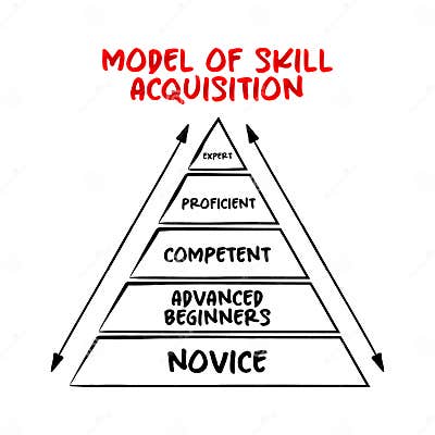 Model of Skill Acquisition - Model of How Learners Acquire Skills ...