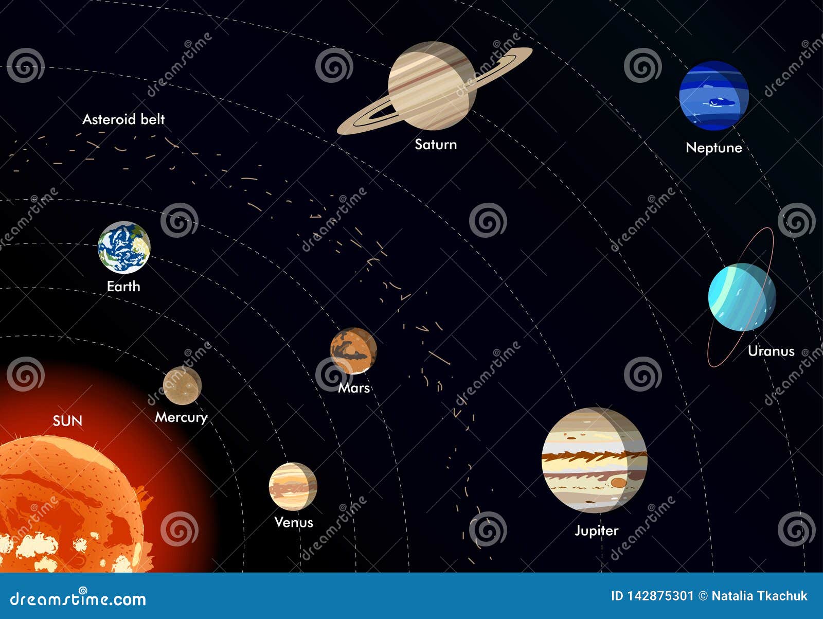 Model of Solar System, Vector Illustration Stock Vector - Illustration ...