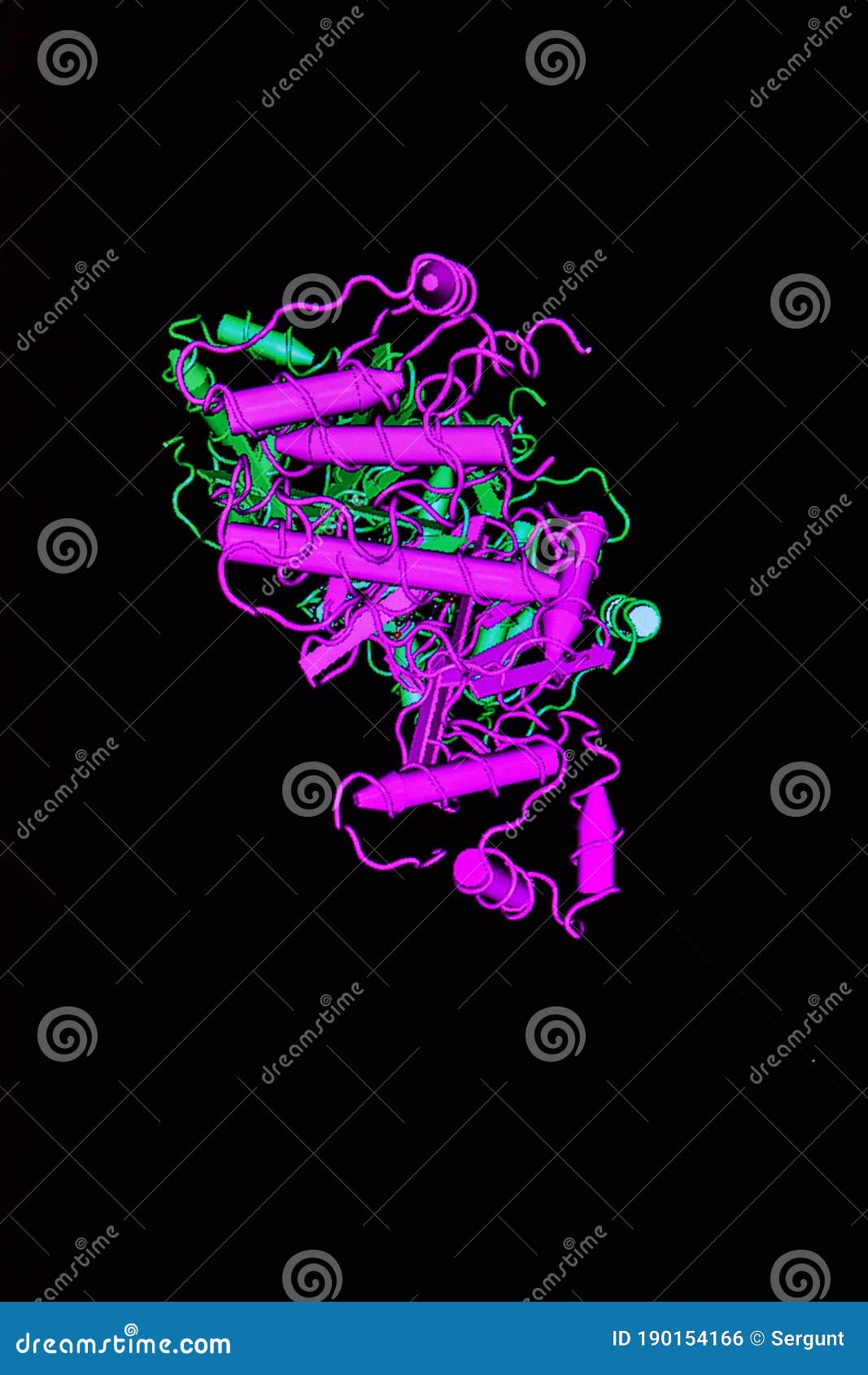 Model Structure of the Protein Molecule Stock Illustration ...