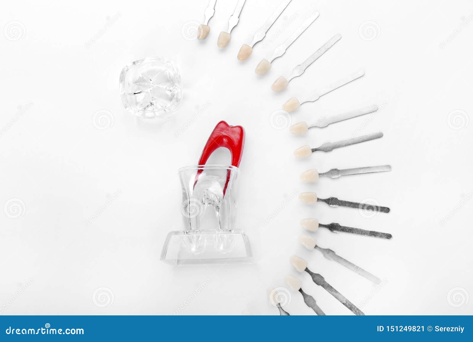 Model of Tooth with Color Samples on White Background Stock Image ...