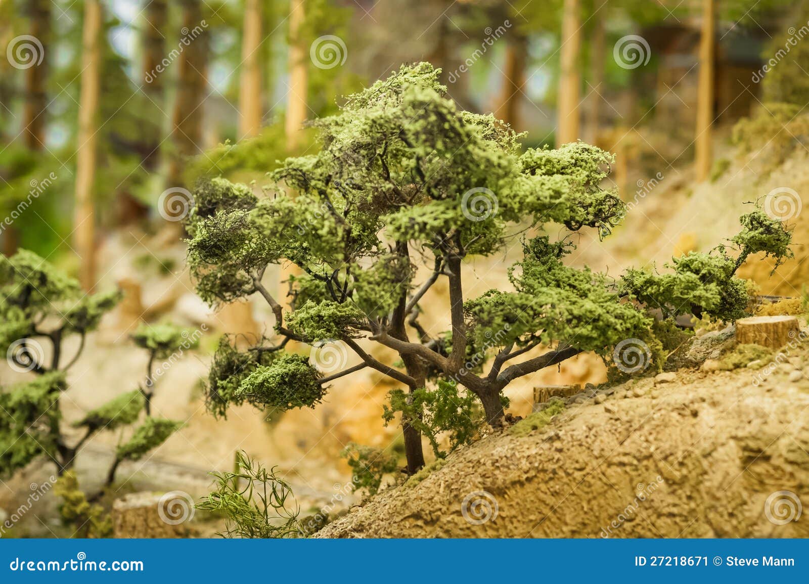 Model trees stock image. Image of trees, sandstone, tree - 27218671