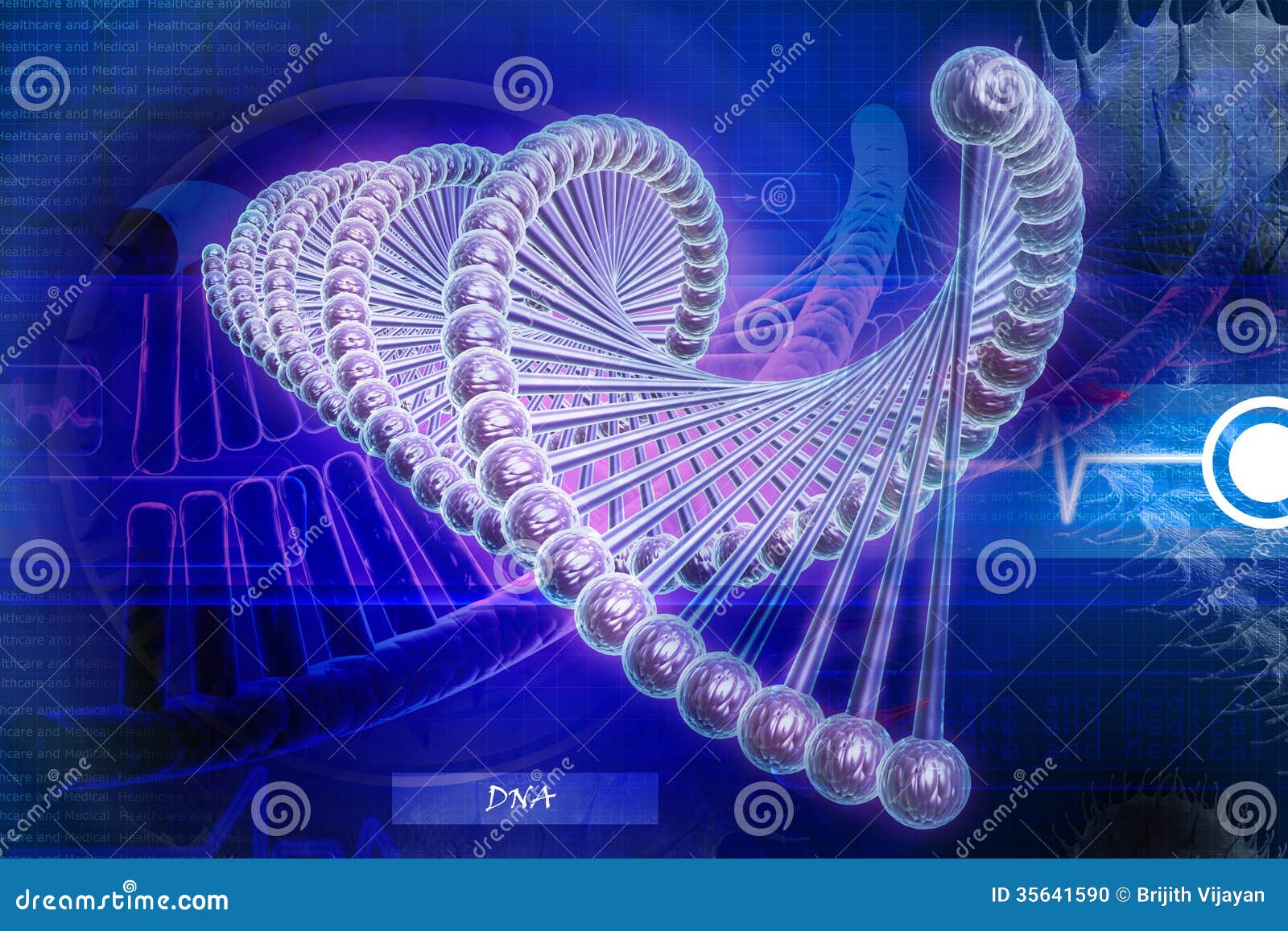 Model of twisted DNA chain stock illustration. Illustration of isolated ...