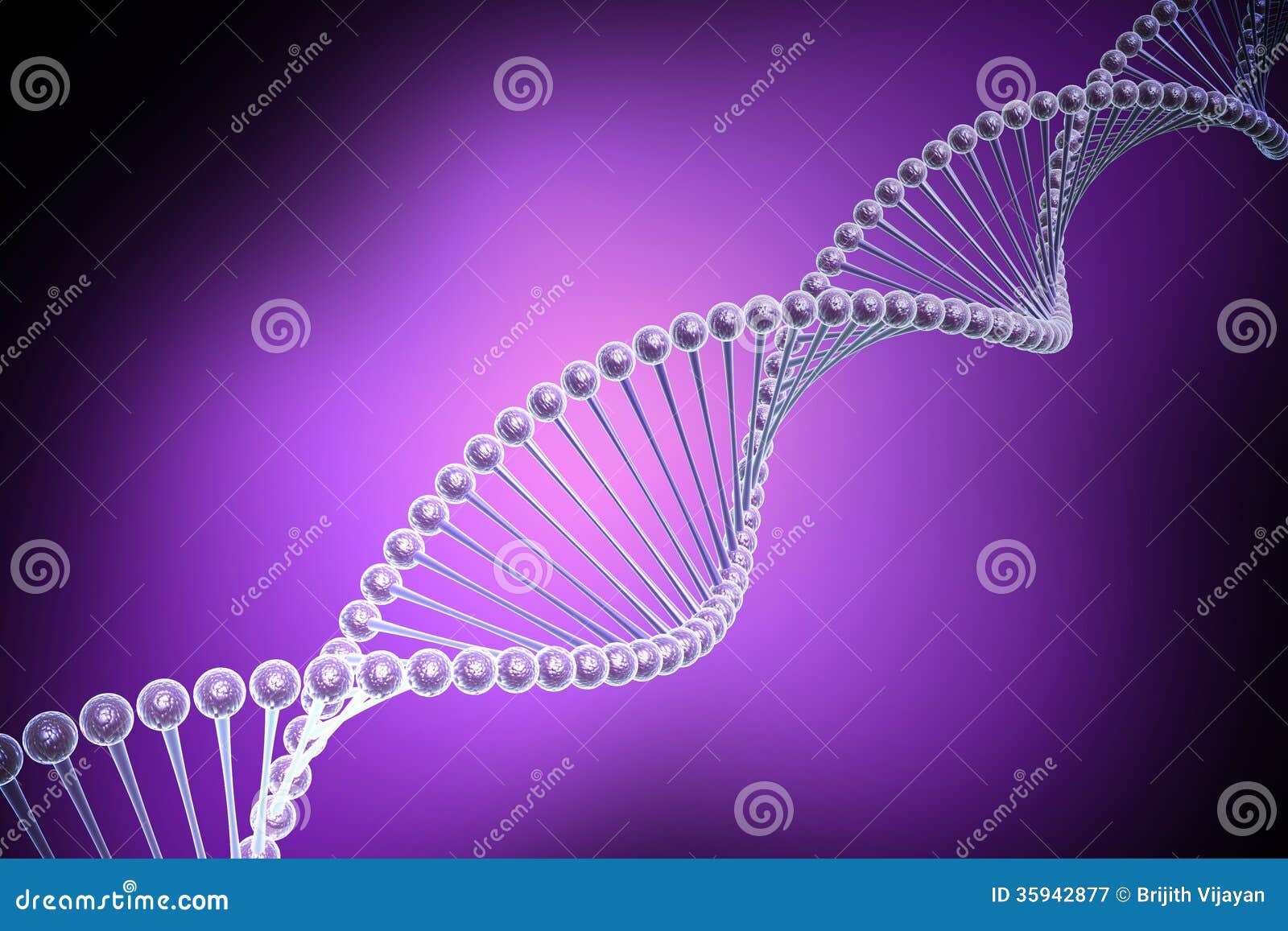 Model of twisted DNA chain stock illustration. Illustration of biotech ...