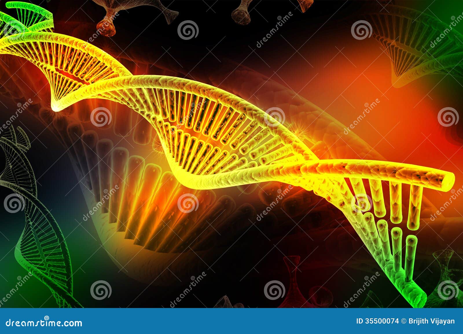 Model of Twisted DNA Chainc Stock Illustration - Illustration of ...