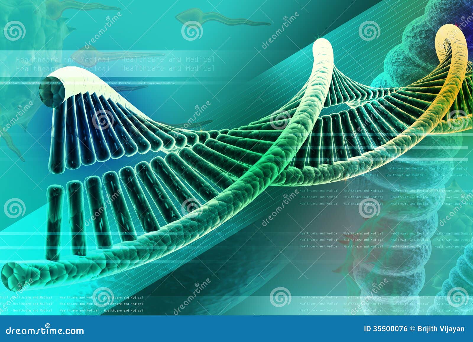 Model of Twisted DNA Chainc Stock Illustration - Illustration of ...