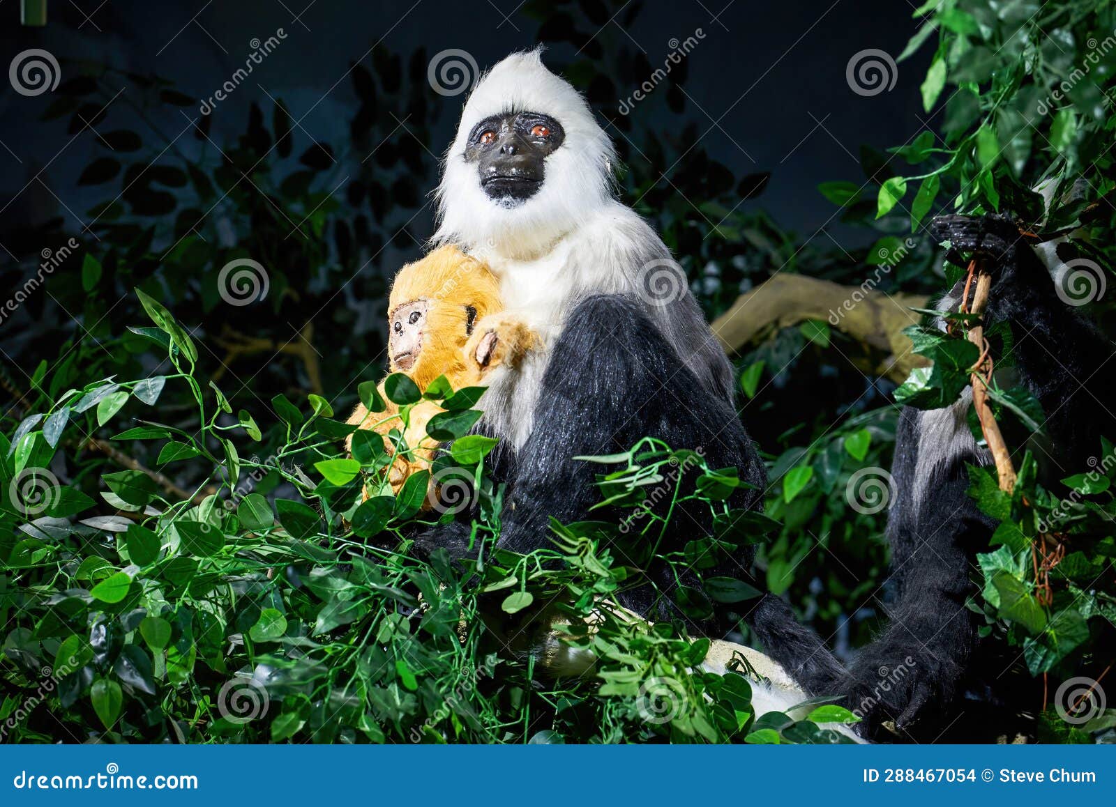 A Model of a White Langur in a Museum Stock Photo - Image of green ...