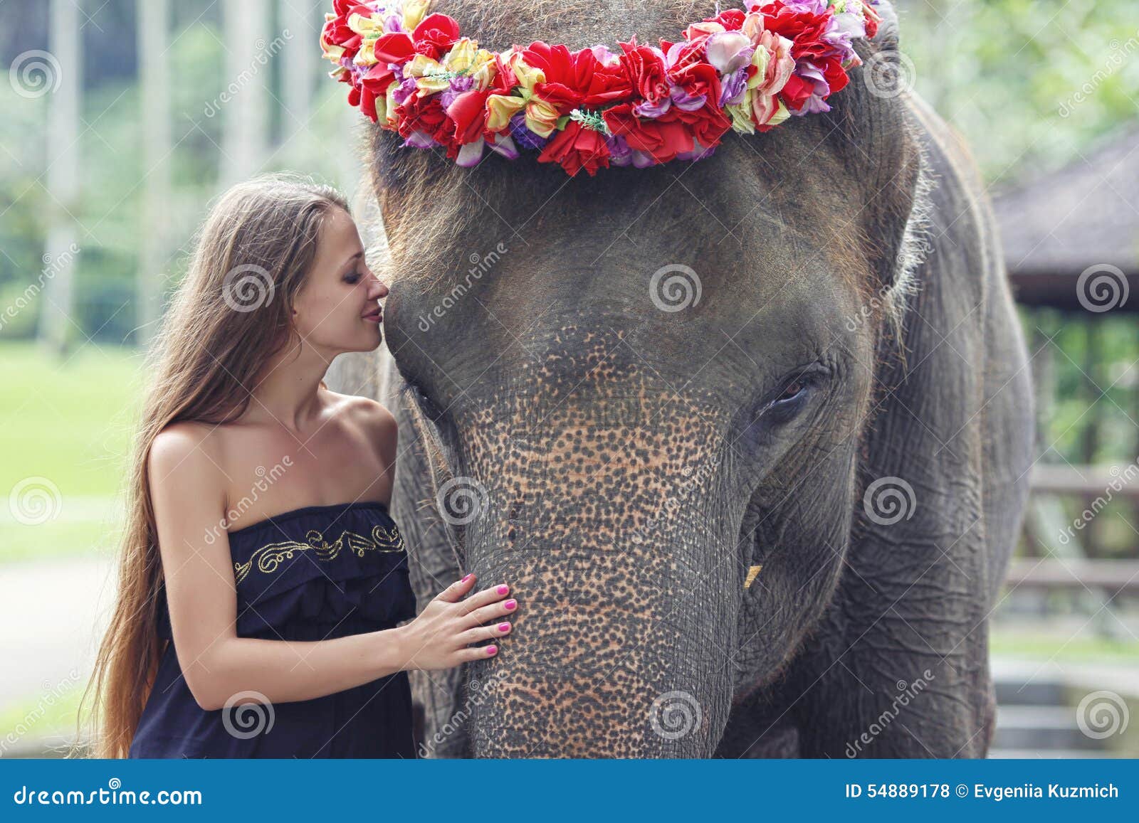 Model Woman Hugging a Big Elephant Stock Photo - Image of asia ...
