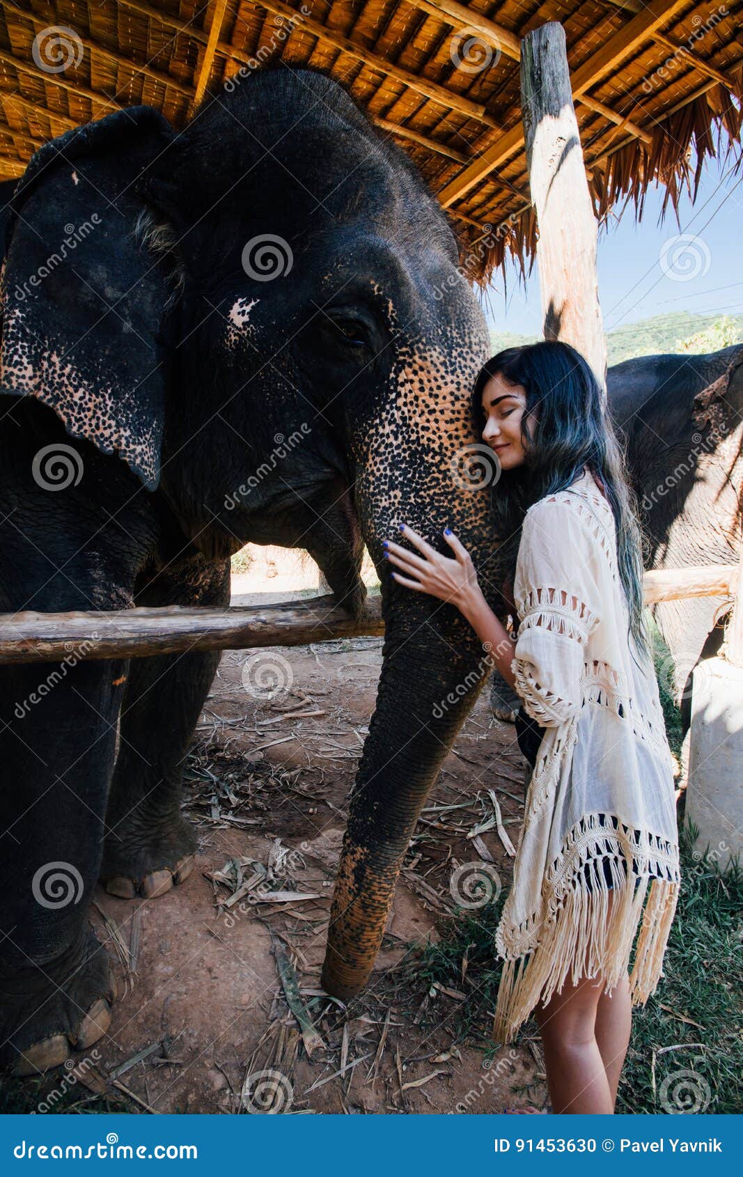 Model Woman Hugging a Big Elephant in the Zoo-park Stock Photo - Image ...